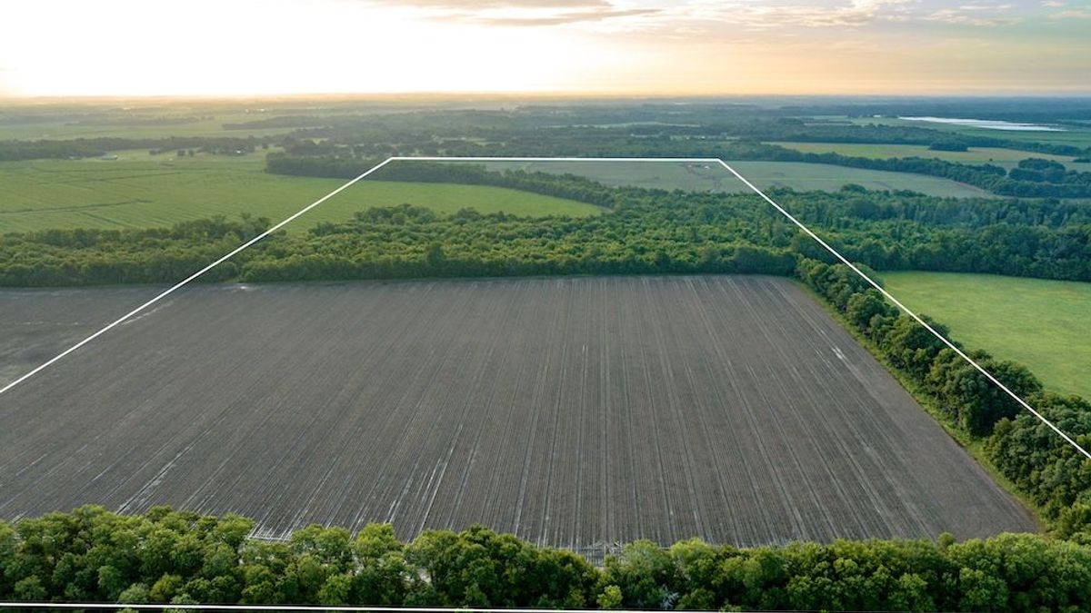 Highly Desirable Combination Of Productive Farmland, Mixed Timber, And ...