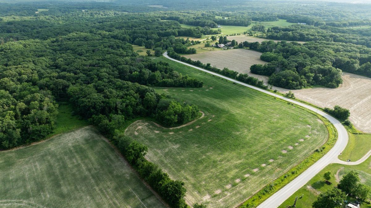 Rugged Farm With Hardwood Timber, Creek And Secluded Fields | Whitetail ...