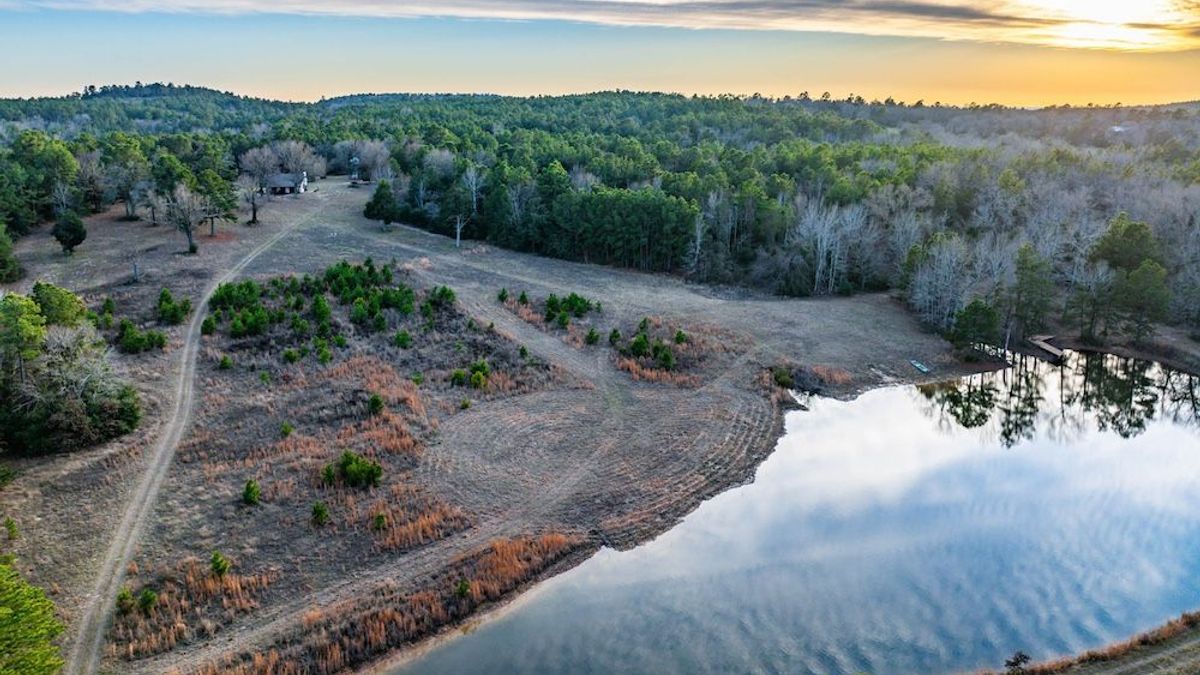 Chimney Ridge Ranch | Whitetail Properties