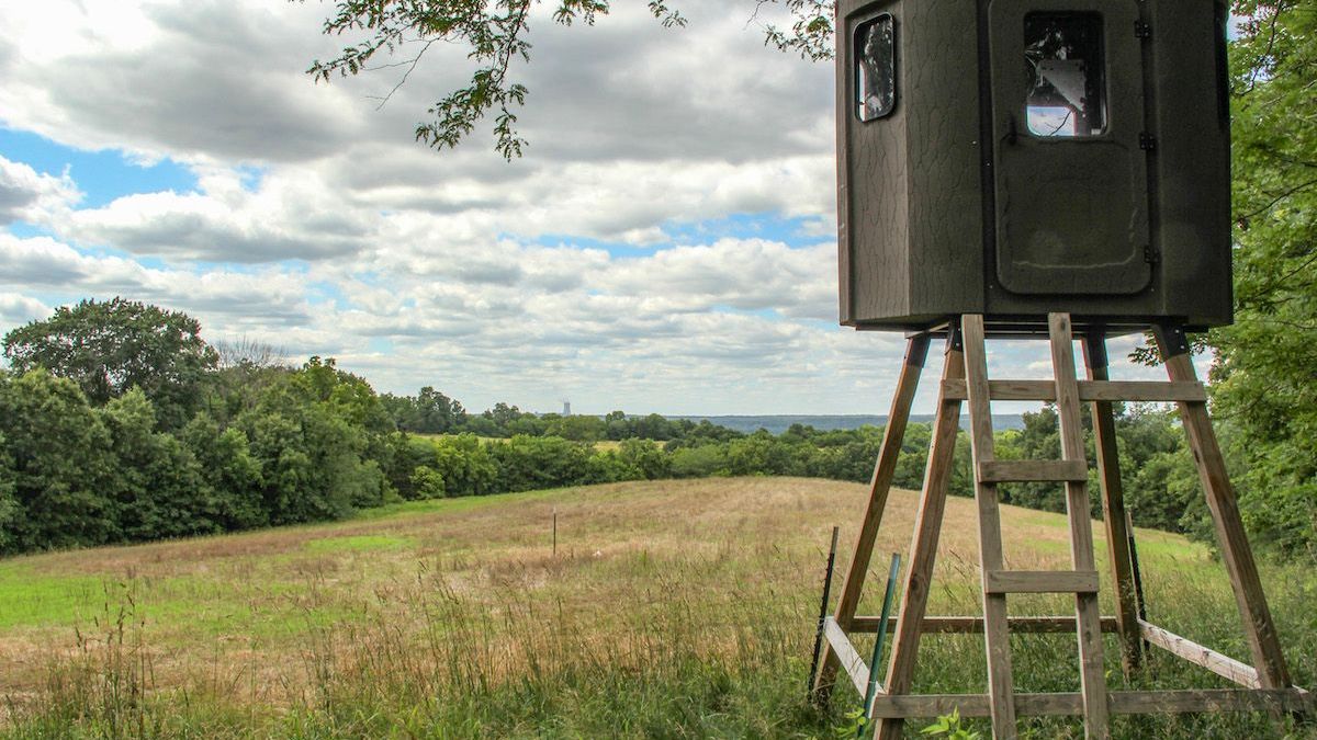 Gorgeous Hay Farm With Excellent Hunting Opportunity | Whitetail Properties