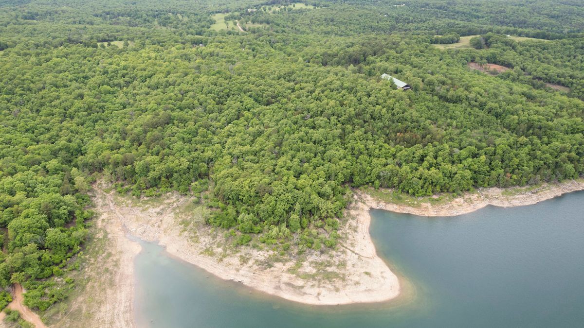 Beautiful Wooded Building Tract Bordering Bull Shoals Lake | Whitetail ...