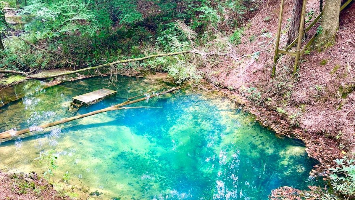 Pappy Jack Spring | Whitetail Properties