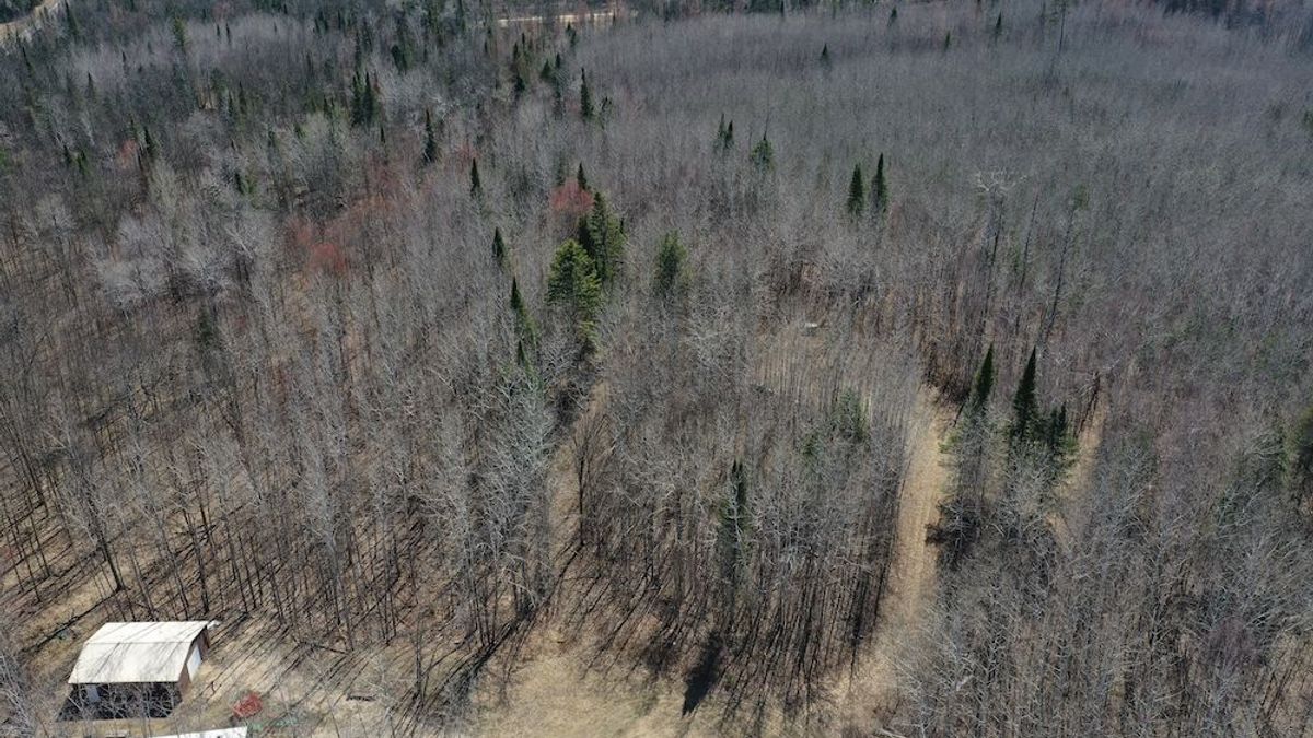 High Ground And Rolling Topography Property | Whitetail Properties