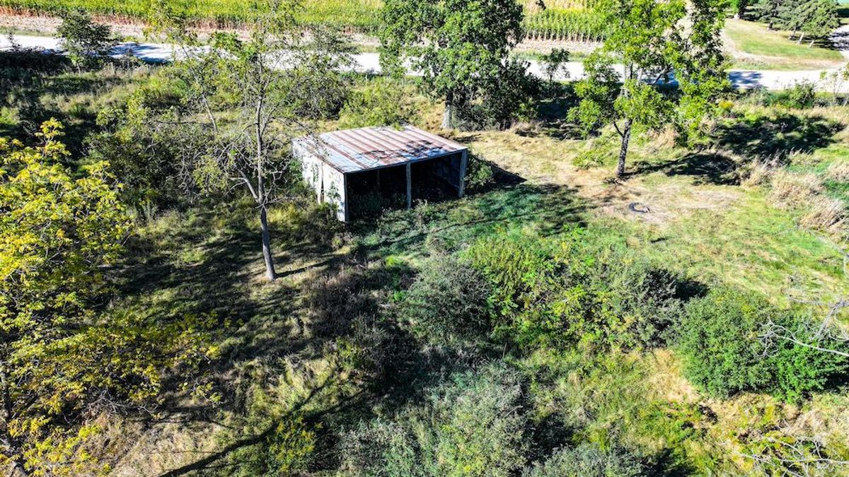 Primo Building Site With Hunting Potential | Whitetail Properties