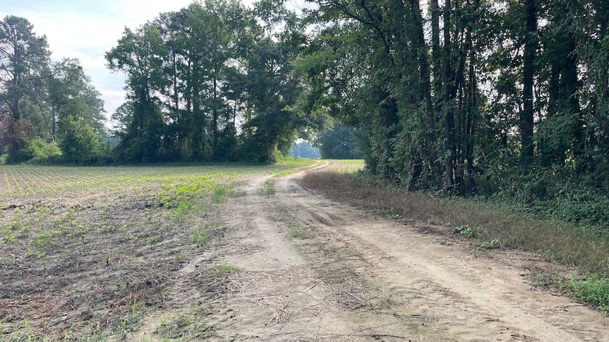 Versatile Agricultural And Timberland, Lot 3 | Whitetail Properties