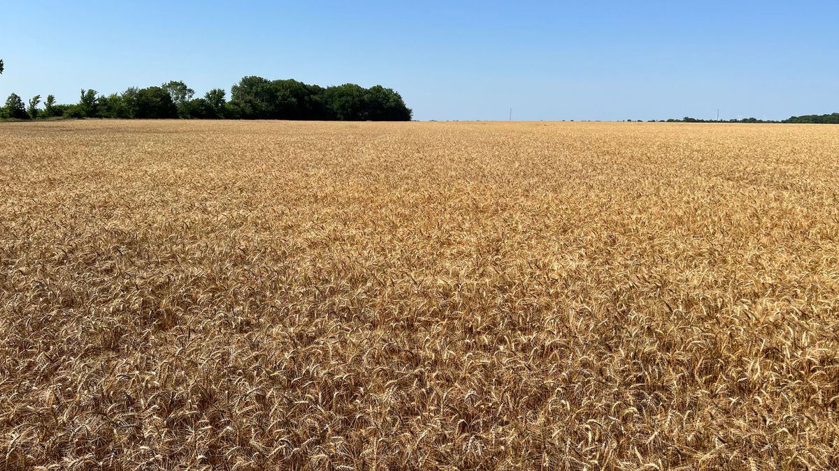 Tillable Farm With Building Site Near Joplin And Carl Junction With ...