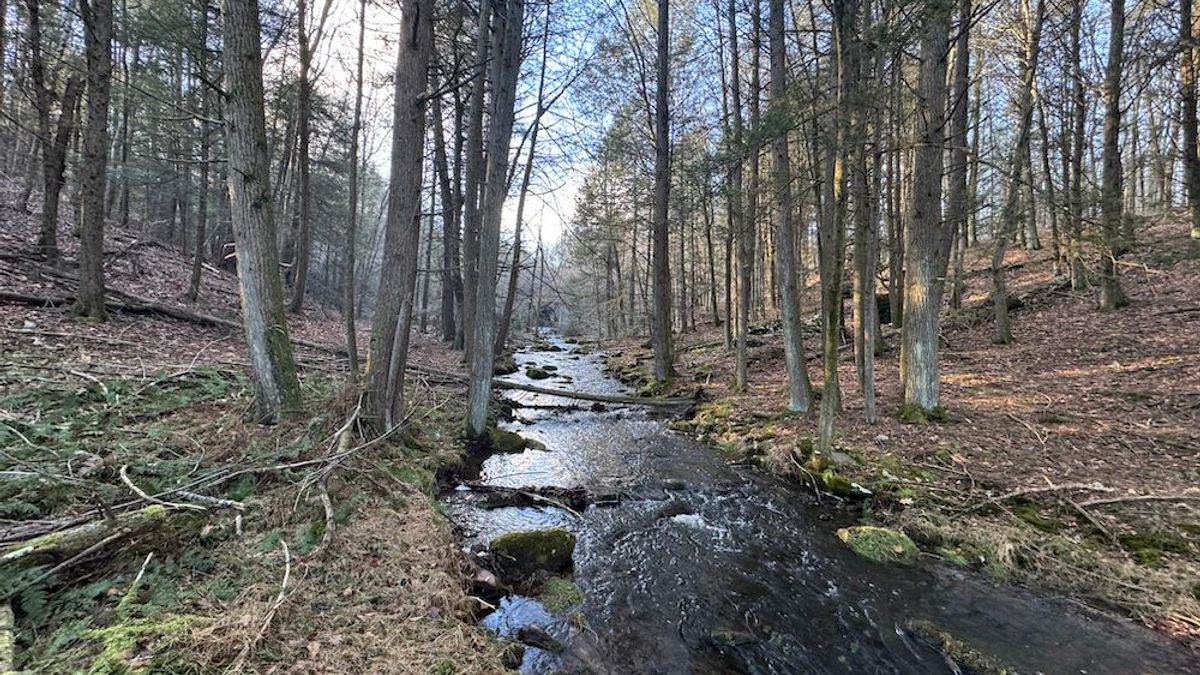 Stream, Level Land, Power Nearby, Hunting, Fishing, Hiking, Rafting ...