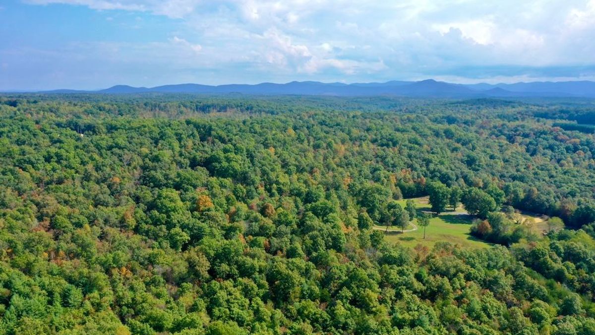 Scenic Land With Roads, Creek, And Abundant Wildlife In Quiet Community ...