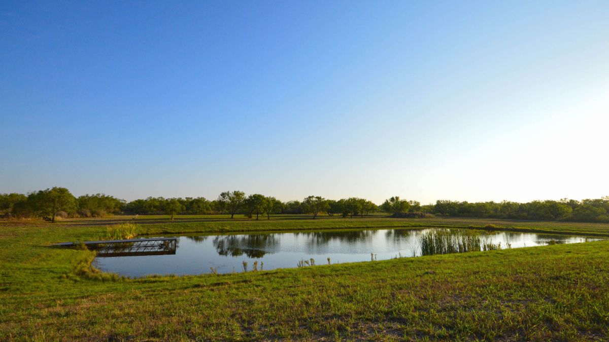 Perfect Build Site With Pond Stocked With Fish | Whitetail Properties