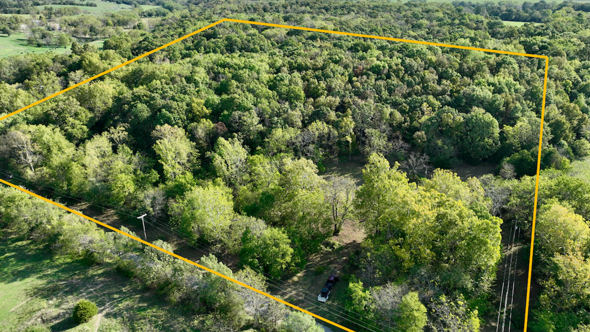 Build Ready Tract With Clear Spring Streams And Whitetails West Of ...