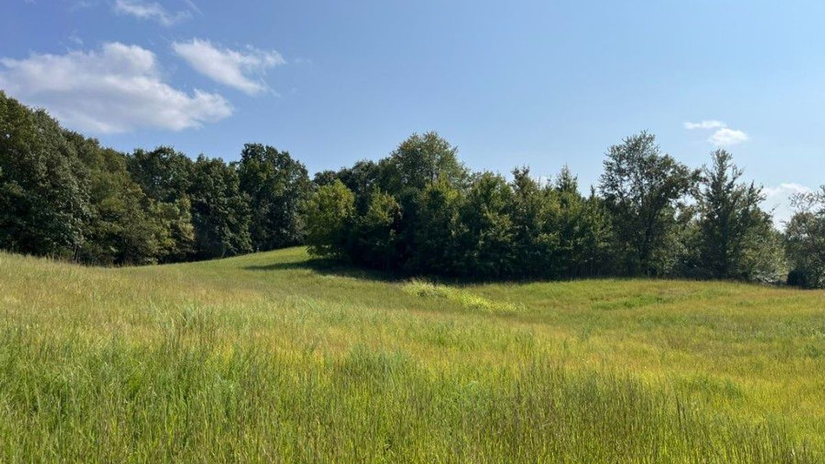 Great Mix Of Open And Wooded Acreage A Half Hour From Owensboro ...
