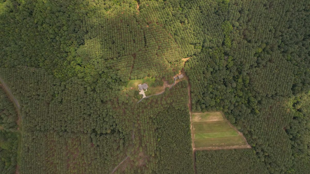 Beautiful Large Timber Acreage With Home Offering Hunting And ...