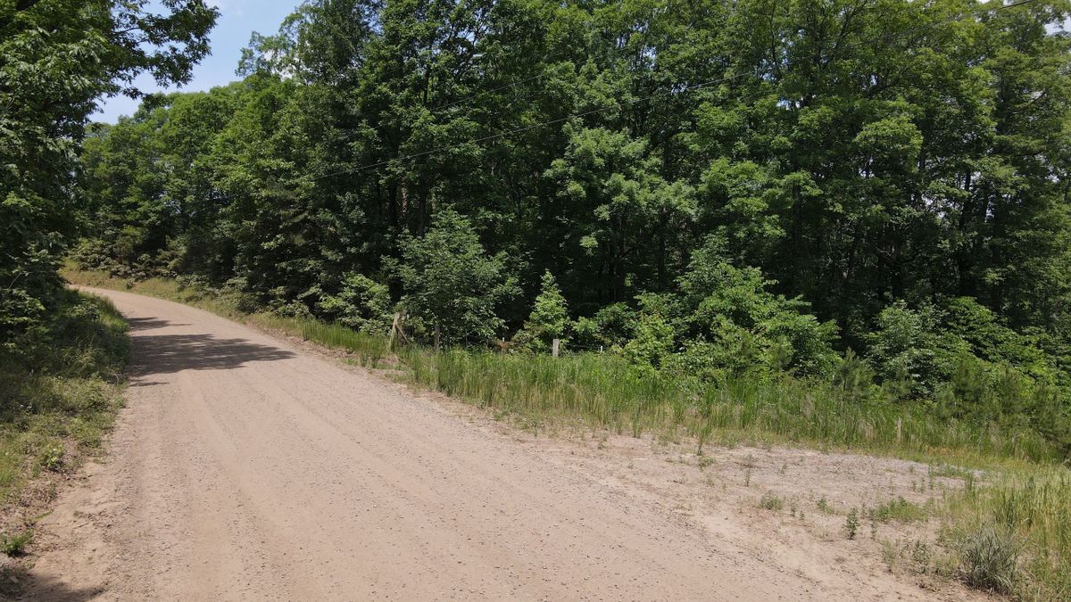 Bordering US Forest Service | Whitetail Properties