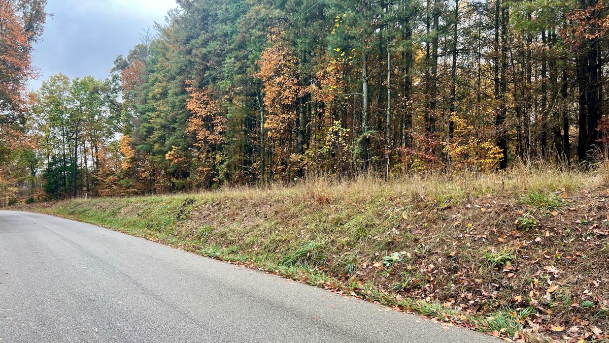 Ideally Secluded Wooded Country Home Build Site | Whitetail Properties