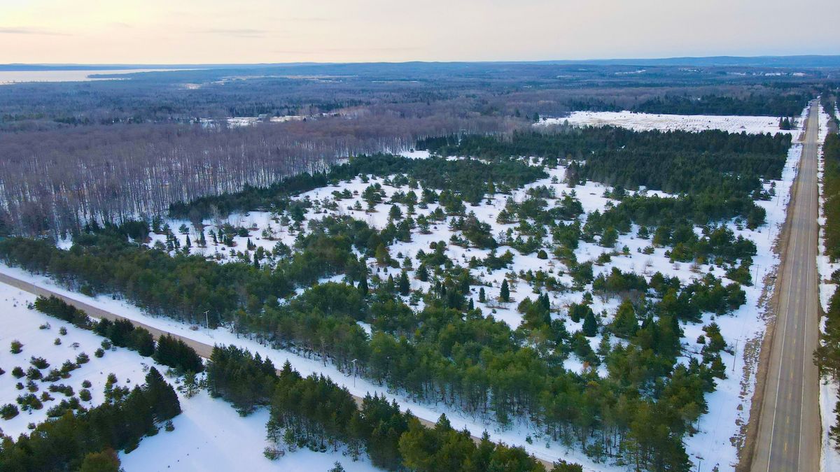 A Paradise Of Pines In Northern Michigan | Whitetail Properties
