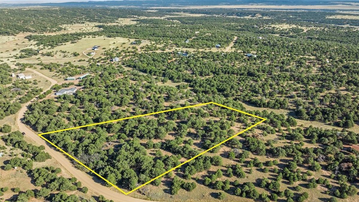 Treed Build Lot In Navajo Ranch | Whitetail Properties