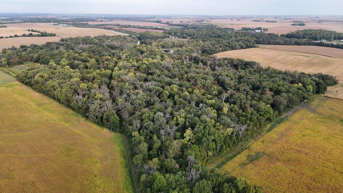 Recreational Farm Close To Cedar Rapids | Whitetail Properties