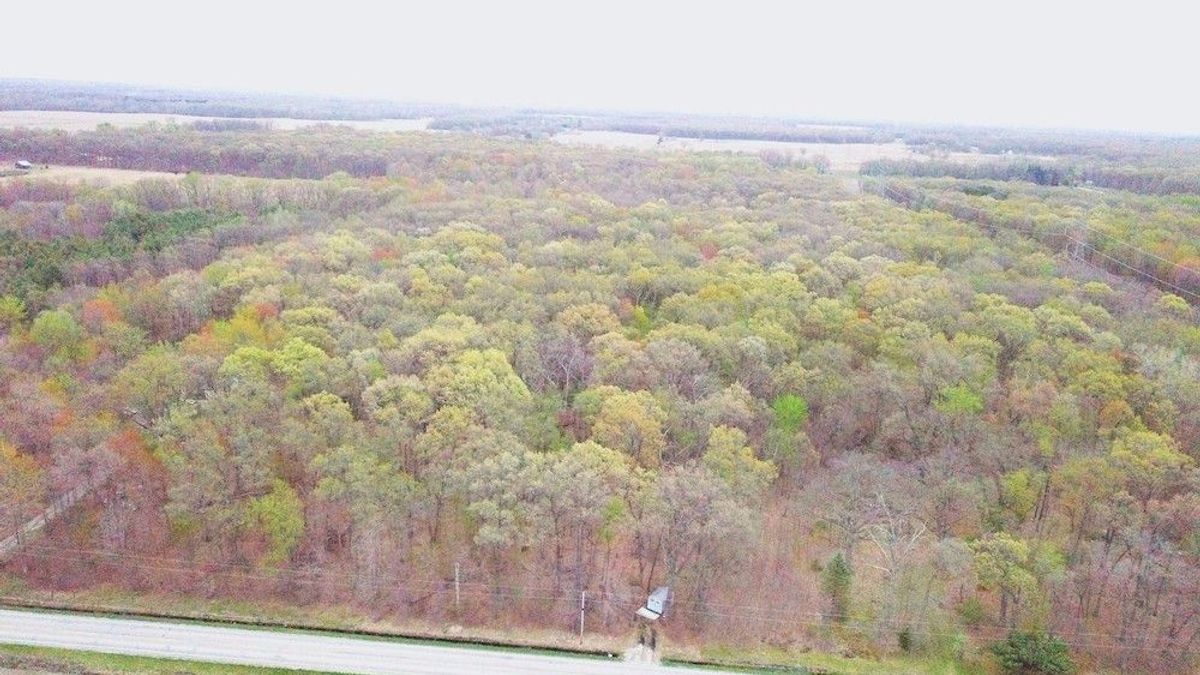 Affordable Wooded Recreational And Hunting Property With Possible ...