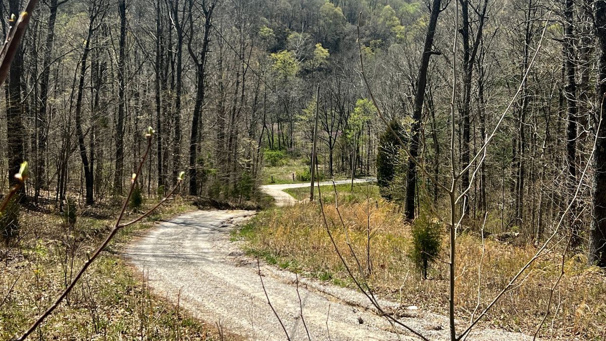 Homestead with All Utilities Located Minutes Away From Hoosier National ...