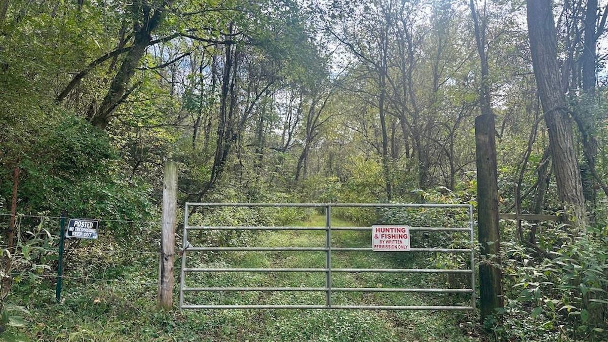 50% Ownership Of Mineral Rights, Pond, Timber, And Excellent Hunting ...