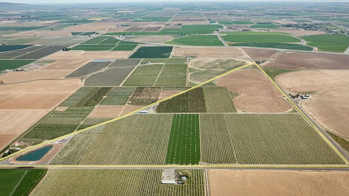 Well-Managed And Highly Productive Orchard With Tillable Farm Ground ...