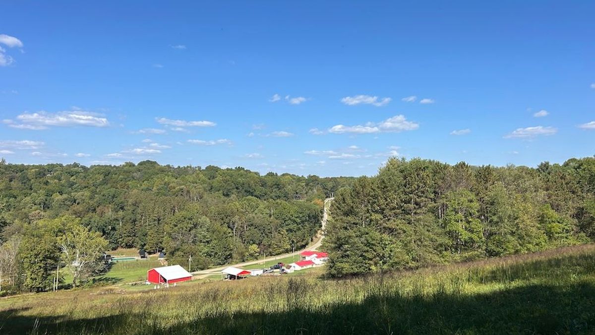 Licking County 18.9 Acres With Garage And Pond | Whitetail Properties