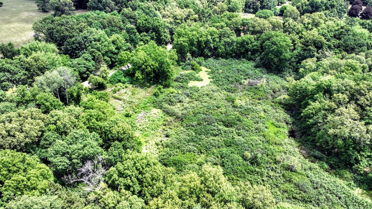 Small Affordable Timbered Acreage With Shed And Paved Road Frontage In ...