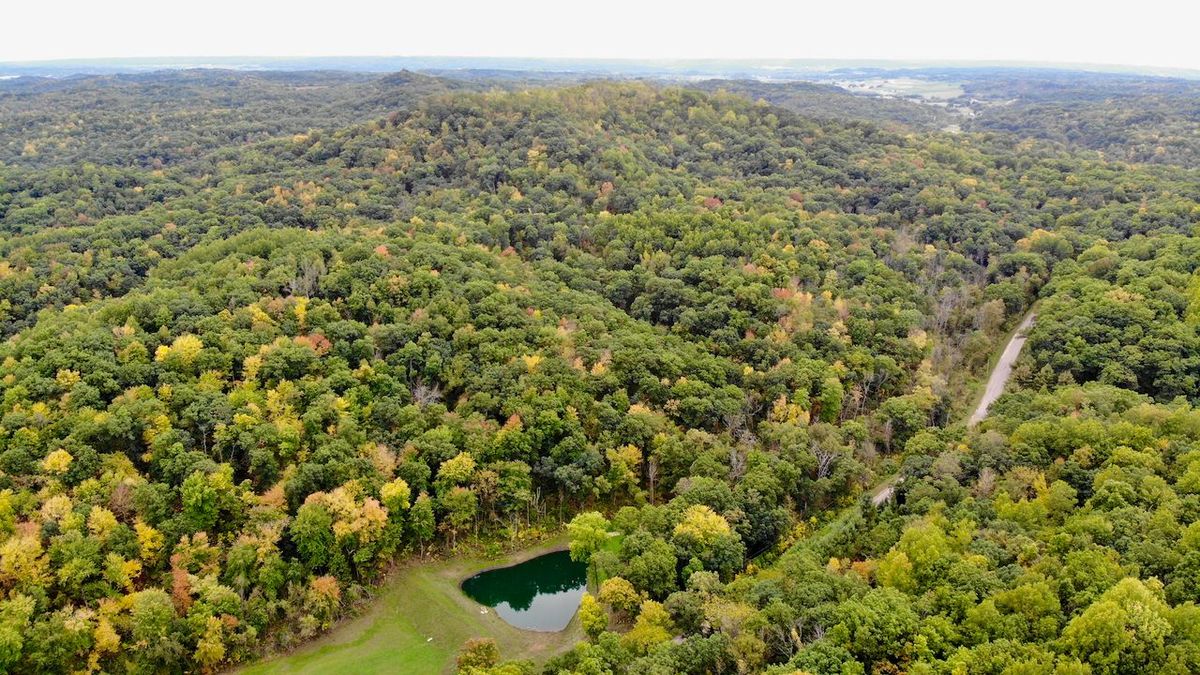 Rolling Timber Recreational Tract In The Driftless Area | Whitetail ...