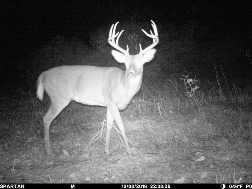 111.29 Acres Hart County KY Hunting And Recreational Land | Whitetail ...