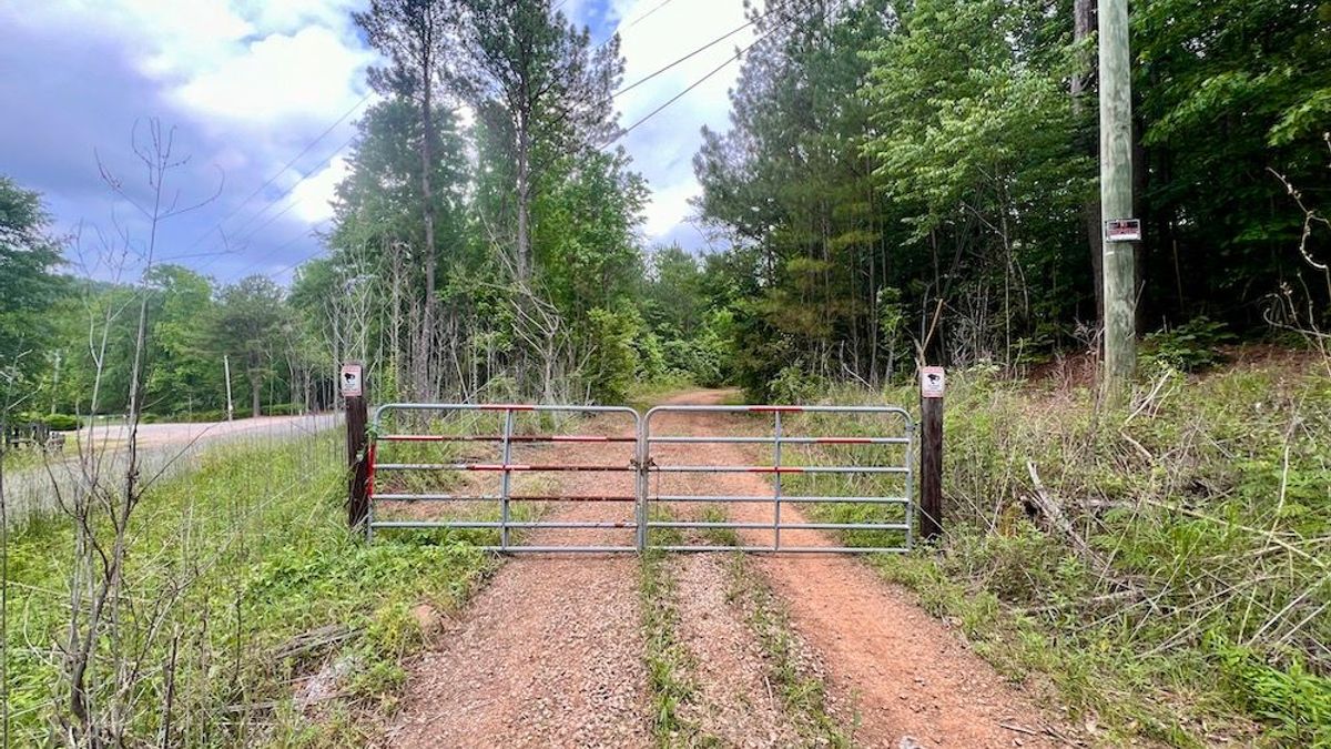 Excellent Hunting Tract With Homesite Potential Near Remlap | Whitetail ...