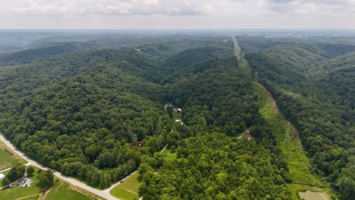 Heritage Wooded Farm With Hills, Valleys,Views, Mature Forest ...