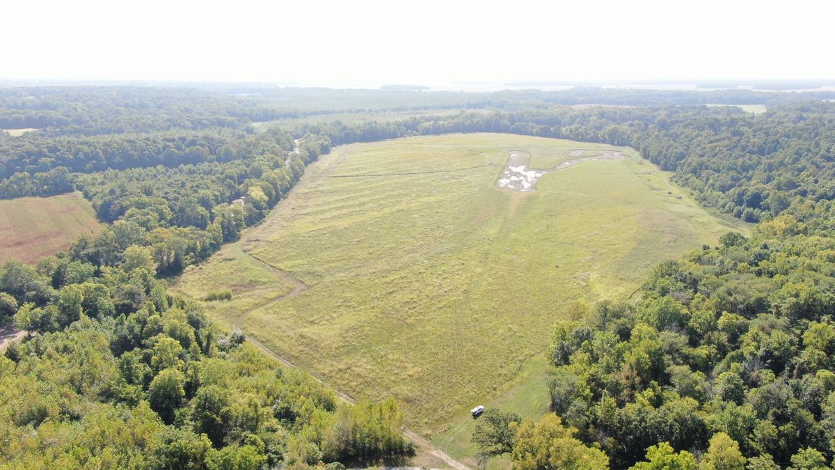 WRP Recreational Farm With Waterfowl, Deer, and Turkey Opportunities ...