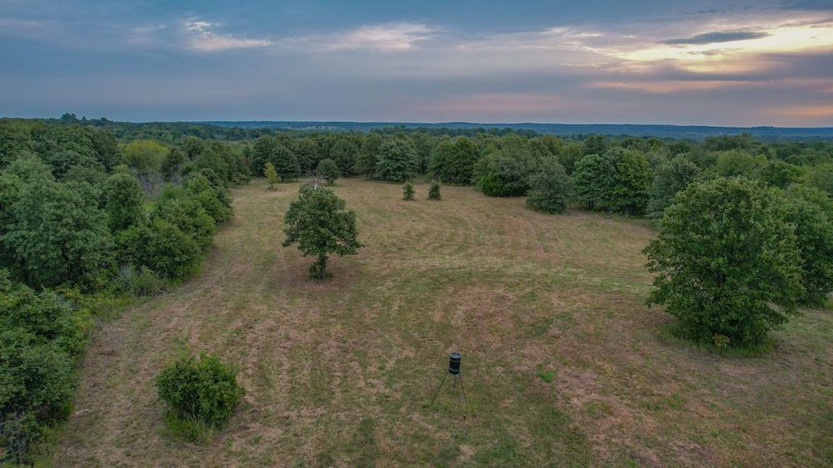 Prime Hunting Property With Excellent Deer And Turkey | Whitetail ...