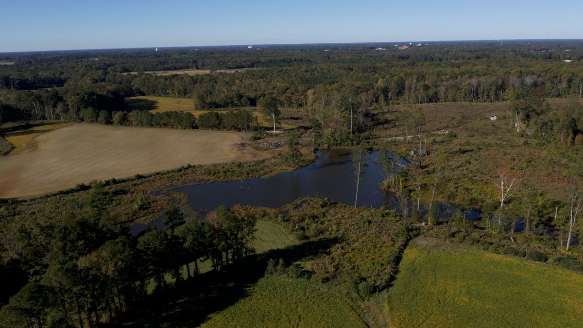 Diverse Farm With Development Potential | Whitetail Properties