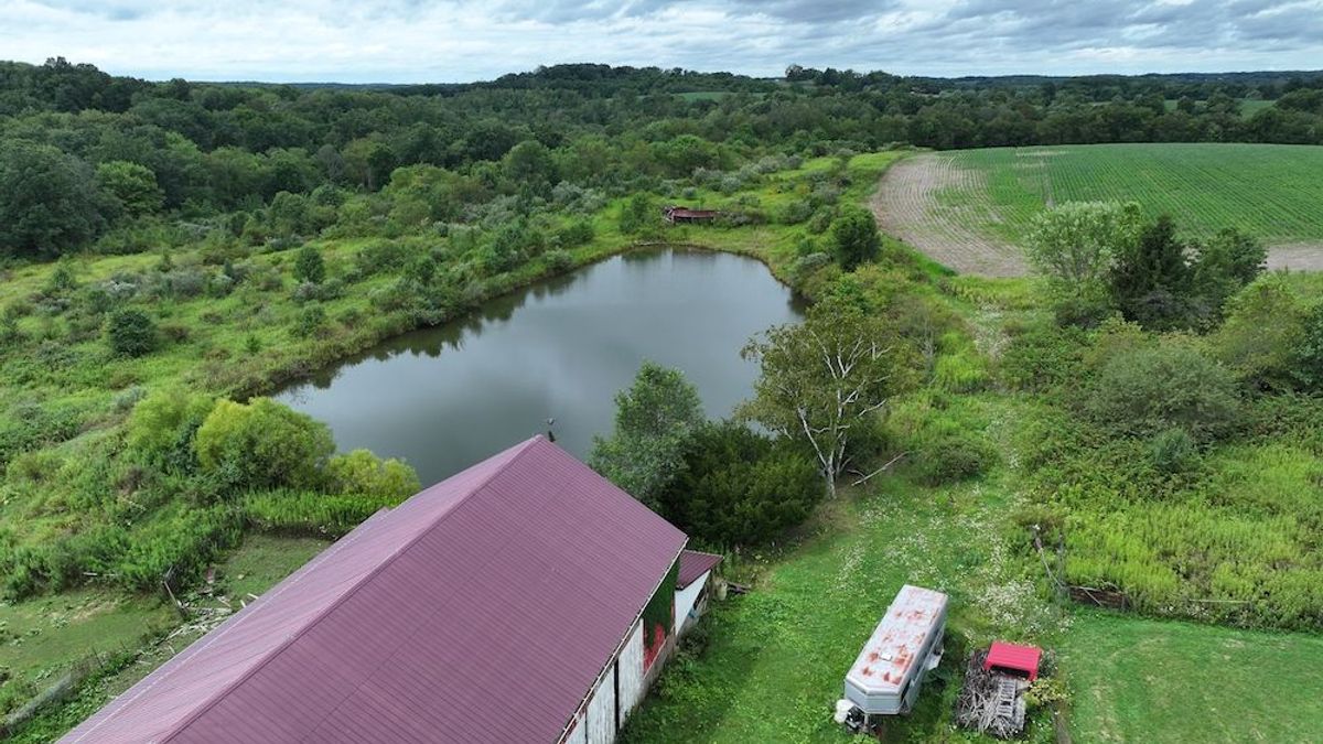 Last Untouched Oasis, Rare Opportunity To Own The Farm In Rural ...