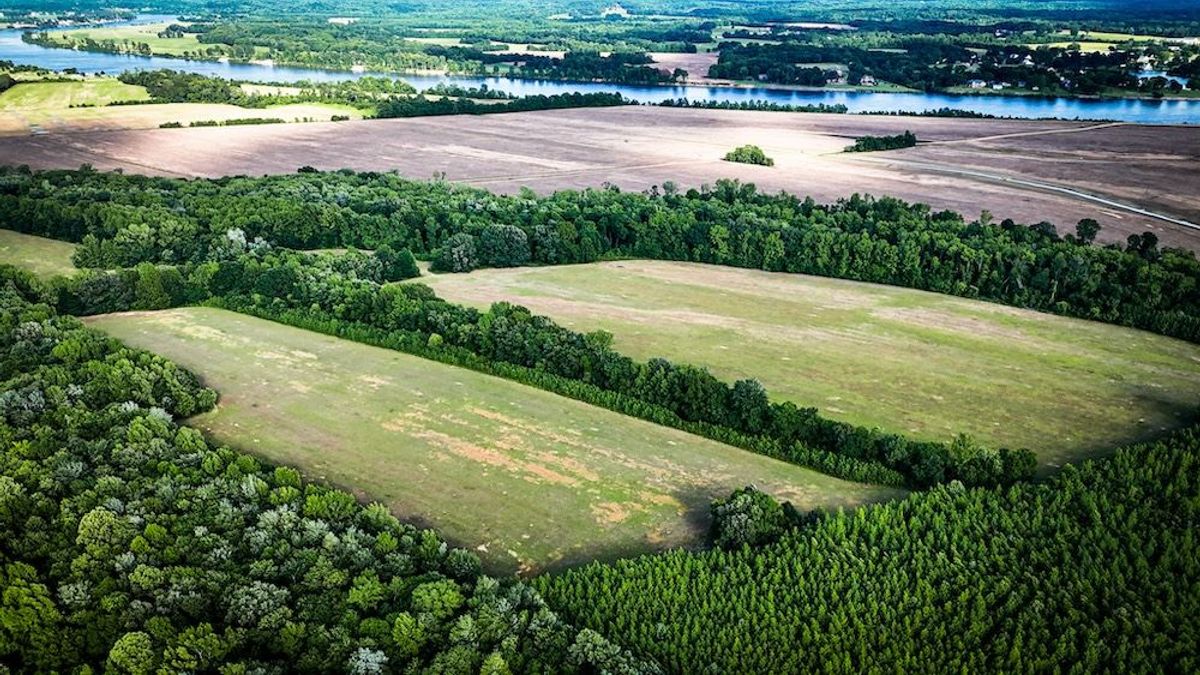 Buildable Farm With Agriculture, Mature Timber, And Cypress Slough ...