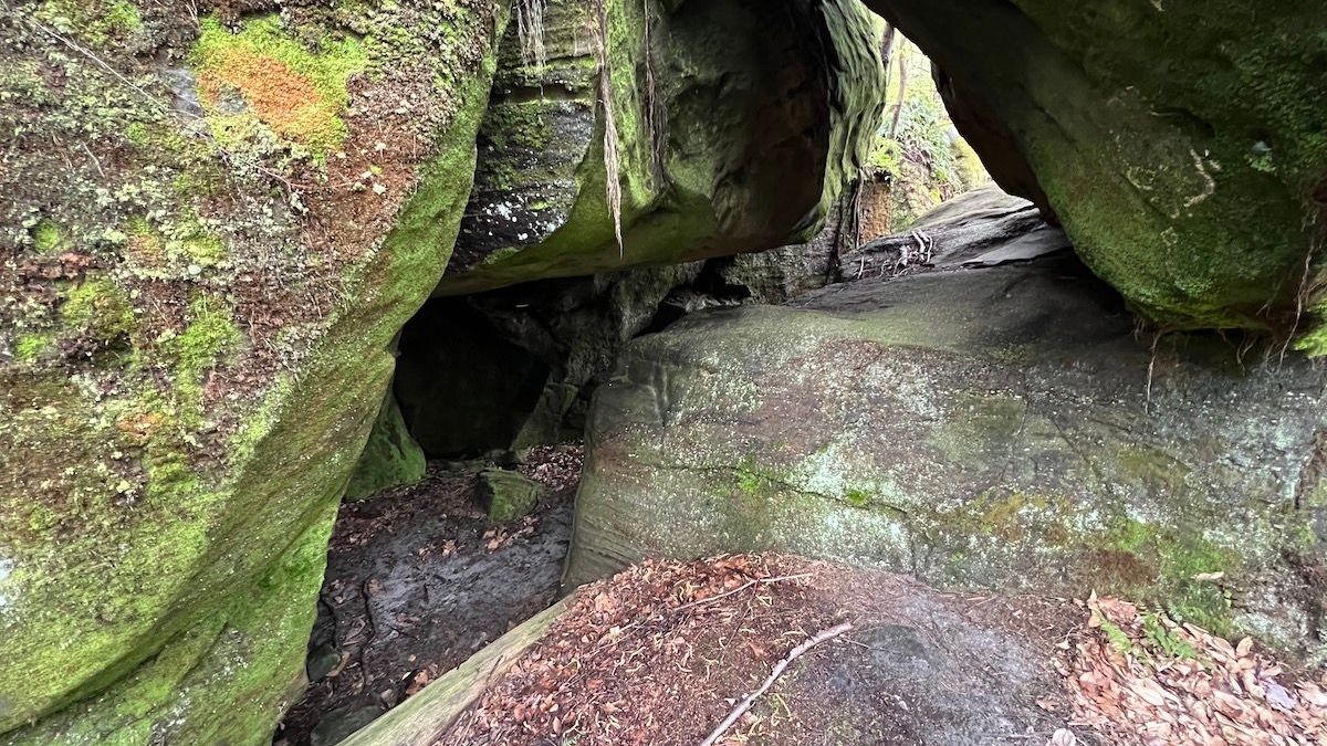 Rare Acreage Bordering 2 PA State Game Lands | Whitetail Properties