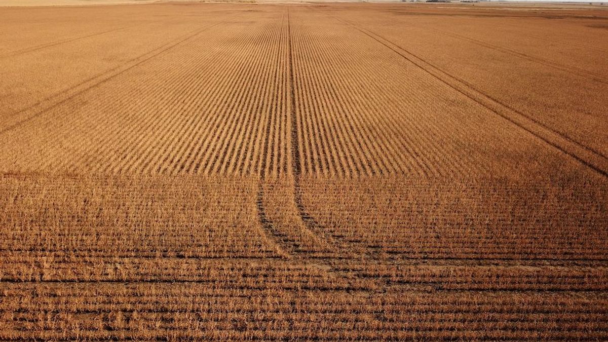 Highly Productive Tillable Ground With Almost All Tillable Acres ...