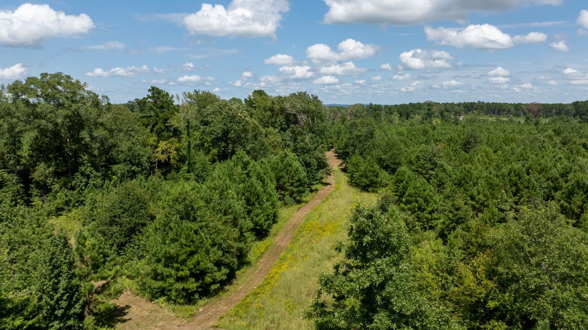 Mendoza Timber Farm | Whitetail Properties