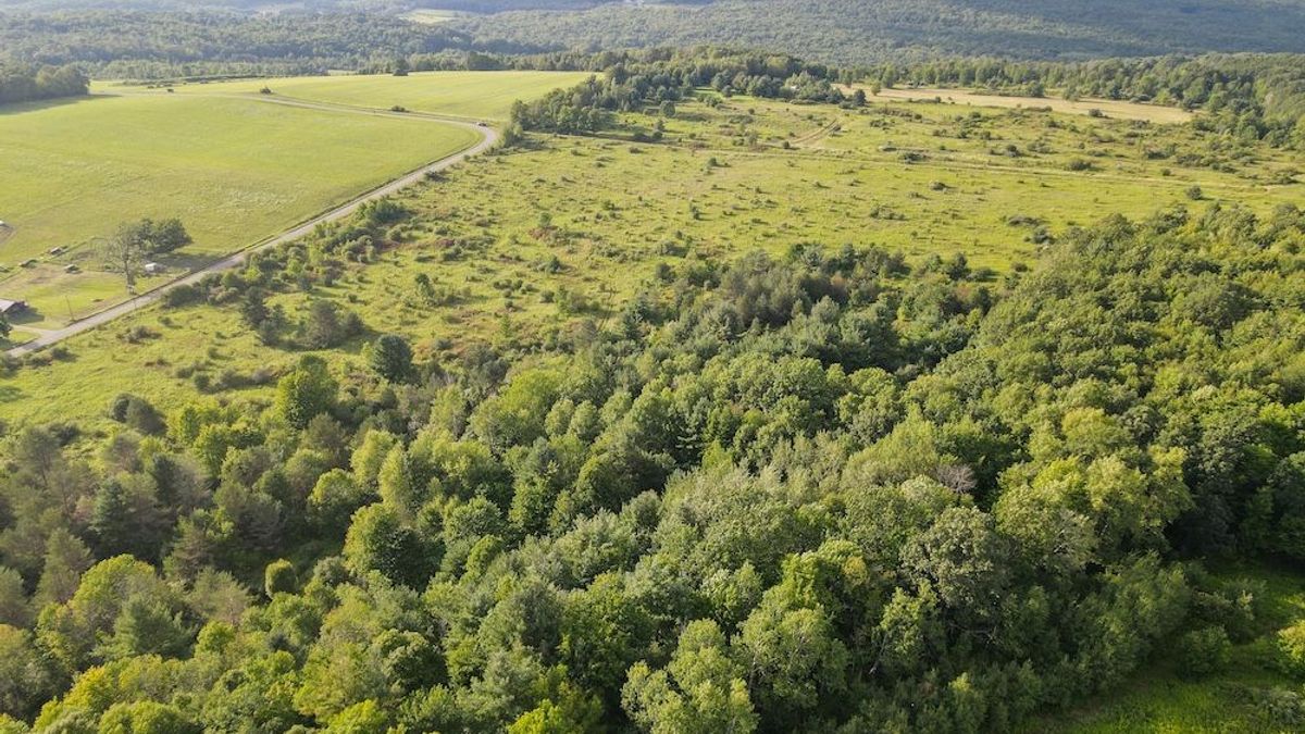 Build Site With Wooded And Open Acreage, Lot 2 | Whitetail Properties