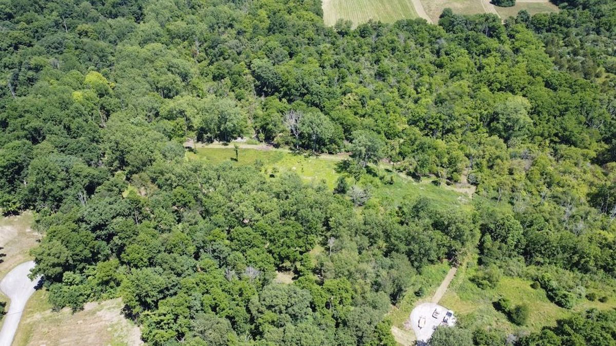 Forest Glen Estates Secluded Escape | Whitetail Properties