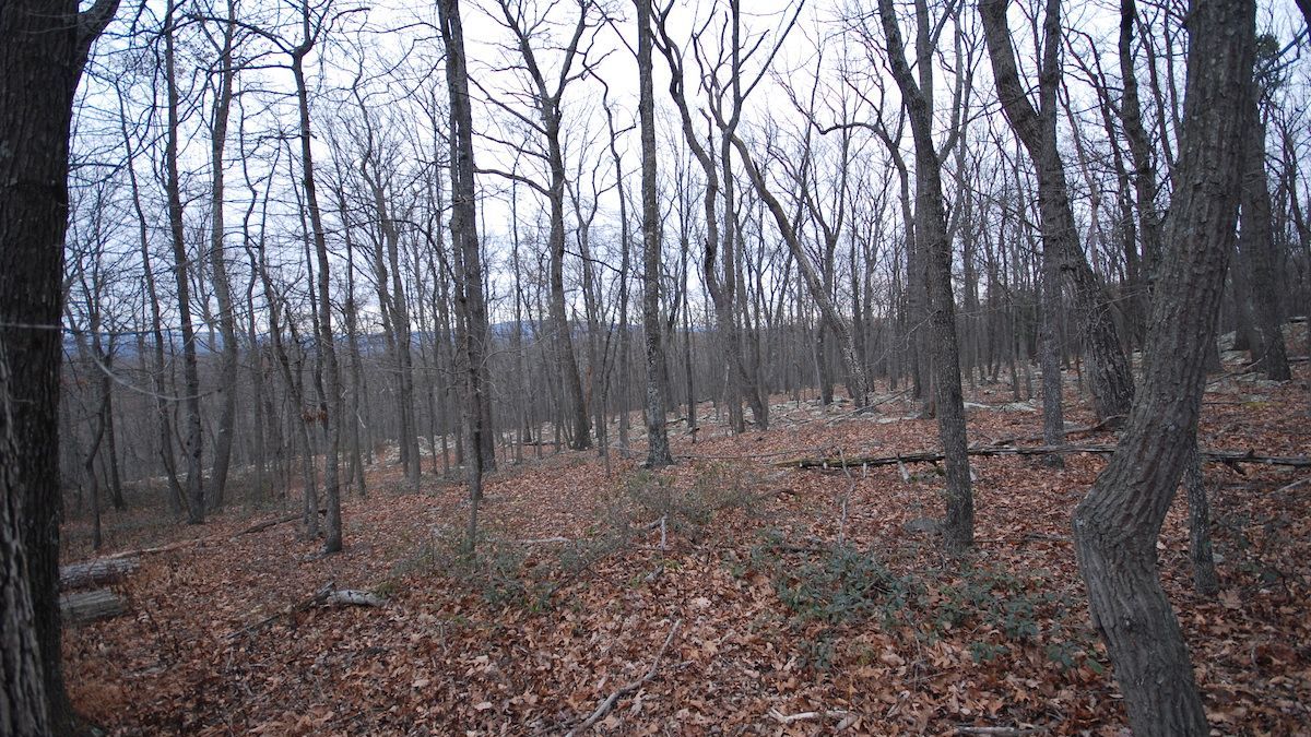 Lot 88 Wakeman Drive Building Lot Near Augusta In Hampshire County, WV ...