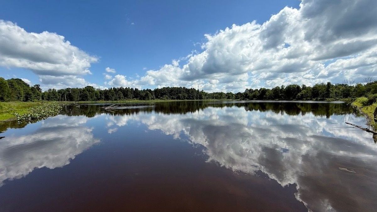 Secluded Recreational Property With Magnificent Private Lake ...