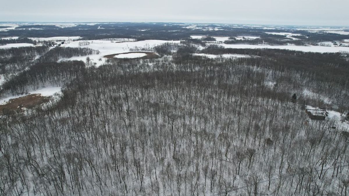 Rare Wooded Buildable Lot Near Cormorant Lakes – Great Location ...