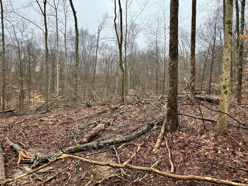 Timbered Recreational Land With Possible Home Sites Boarding Hoosier ...