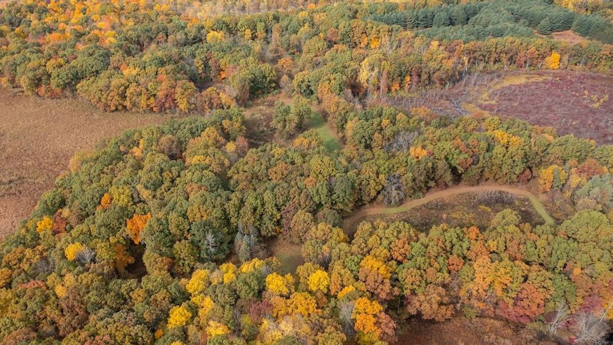 Top End Hunting Preserve And Conservation Focused Property With ...