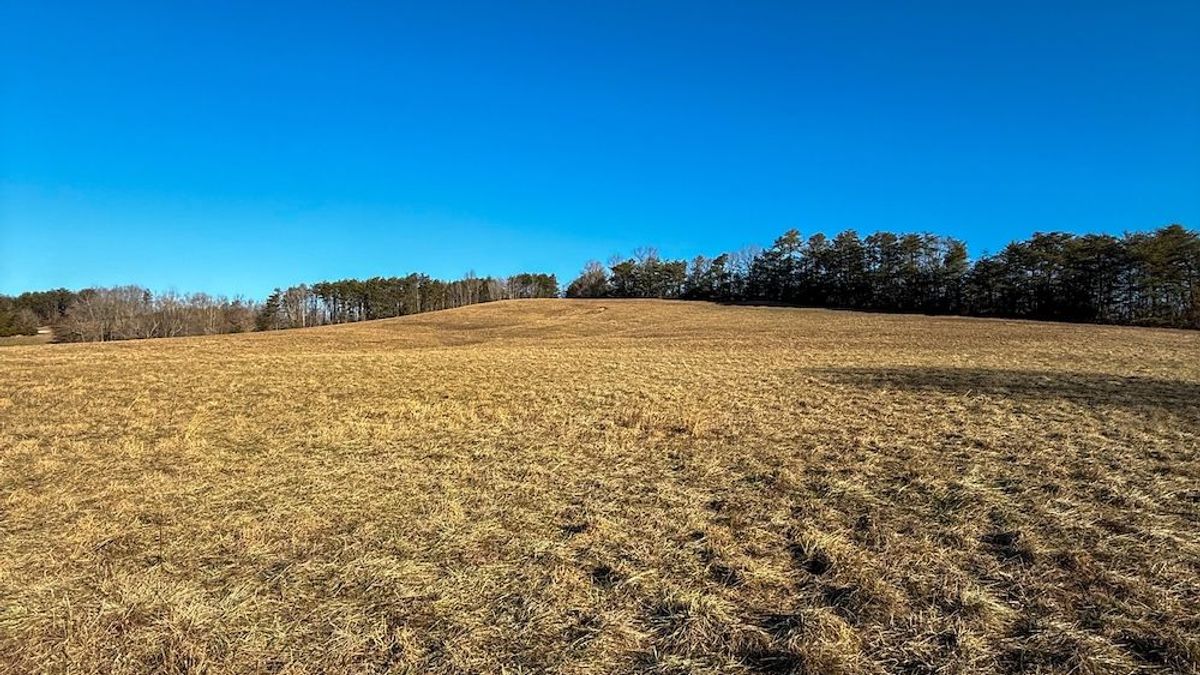 Mini Farm With Open, Wooded Ground With Endless Potential | Whitetail ...