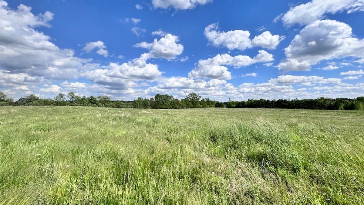 Open Acreage With Gradual Rolling Hills With Great Building Sites ...