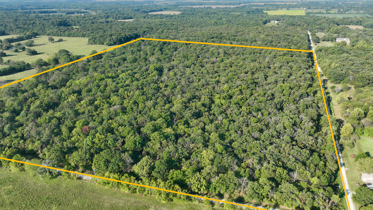 Timbered Whitetail Tract With Building Sites Near Joplin And Pittsburg ...