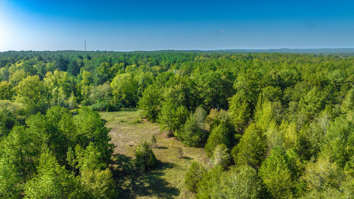 Small Acreage Tract With Home-Site & Hunting Potential | Whitetail ...